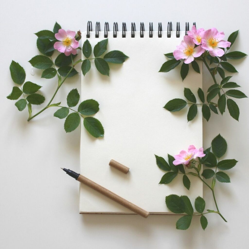 How To Recommit To Your Goals - Ana McRae Coaching How To Recommit To Your Goals - Ana McRae Coaching