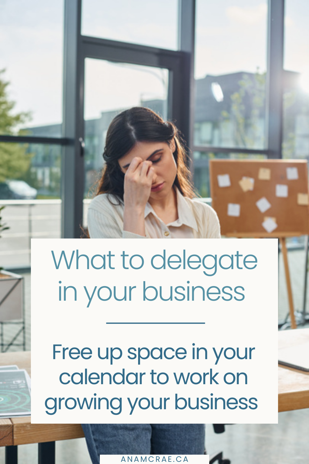 How to Delegate Tasks Like a Pro: A CEO’s Guide to Working Smarter, Not Harder - Ana McRae Coaching